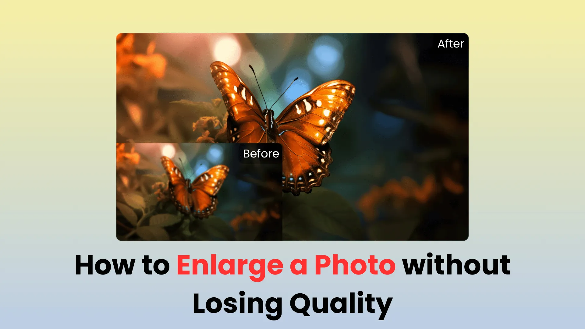 Best Way to Enlarge a Photo without Losing Quality in 2024